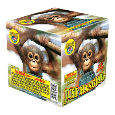 Just Hanging – Big Johnson Fireworks